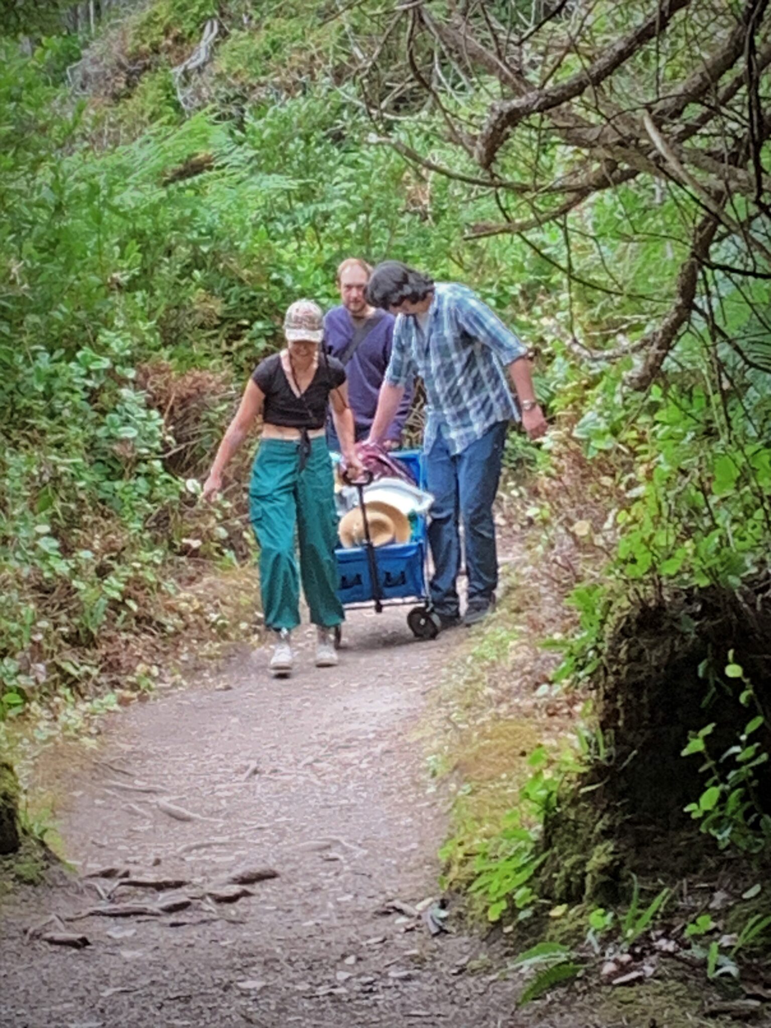 Embracing Team Unity and Nature’s Bounty: A Day at Botanical Beach for ...